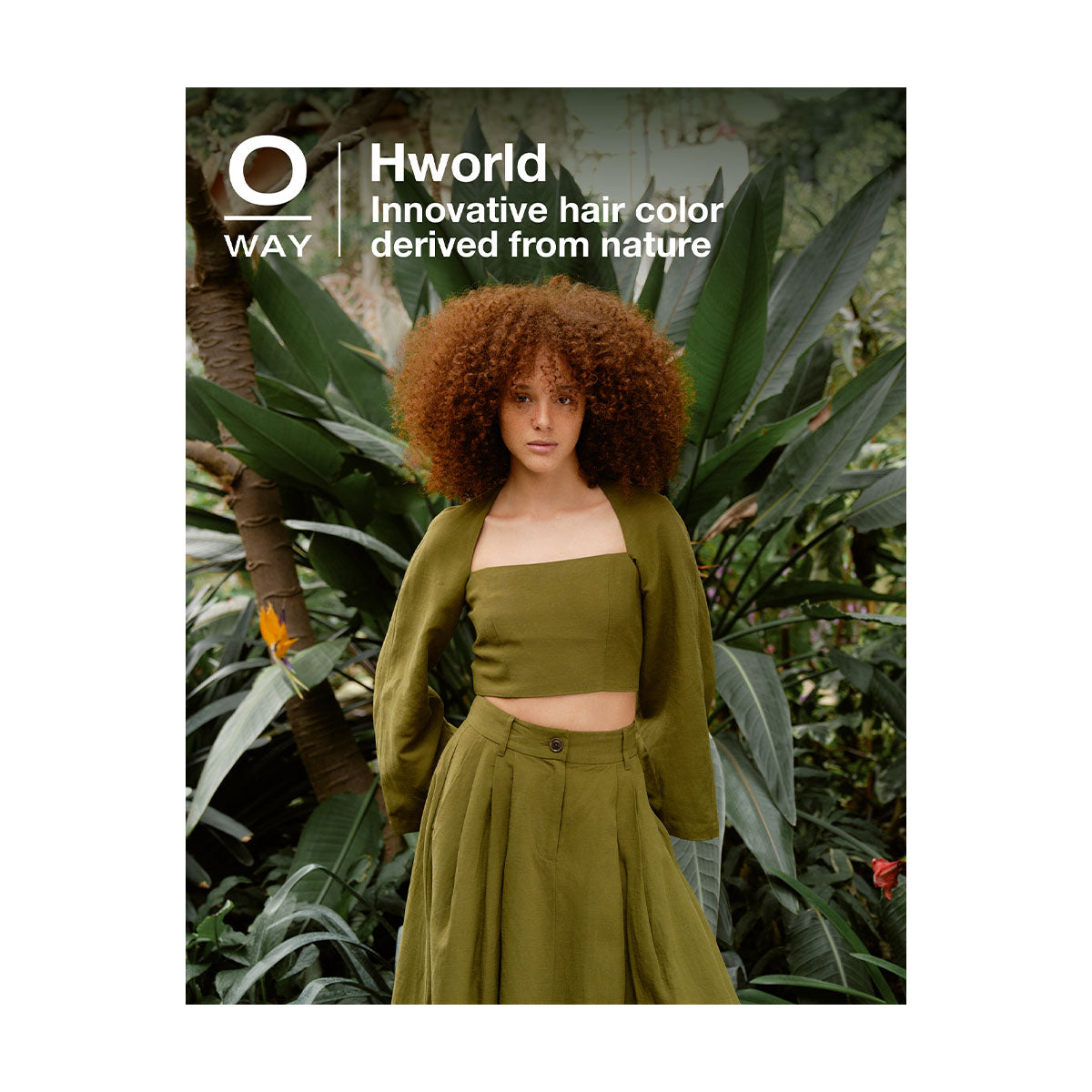 Hworld Poster – Oway USA Professional